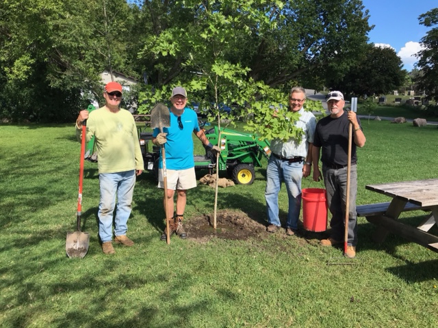 Lions Plant Trees at Lions’ Beach – Westport Lions Club